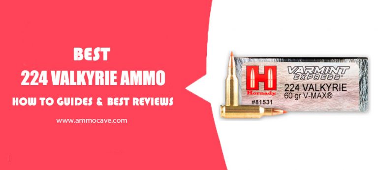 Best .224 Valkyrie Ammo 2024 | TOP 15 🔥 .224 Valkyrie Ammo