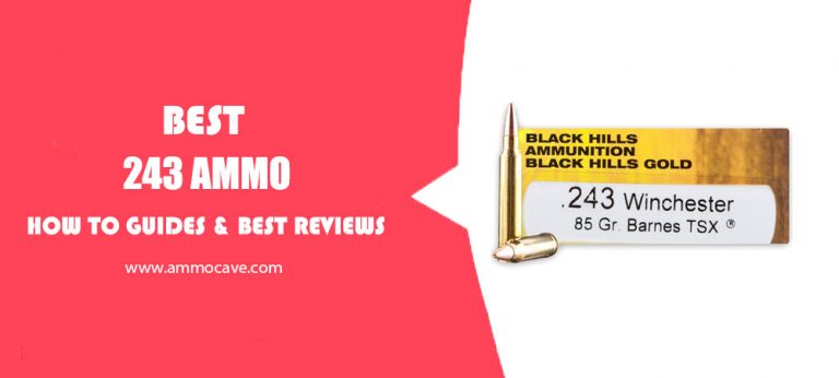 Best 243 Ammo Review 2024 | TOP 8 🎯 243 Ammo [Buyer's Guide]