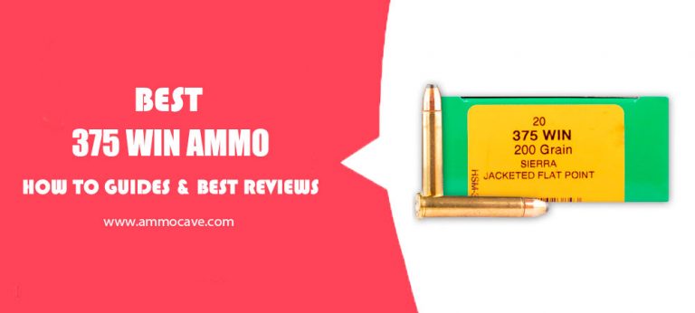 Best 🚀 375 Win Ammo [Review & Buyer's Guide] 2024