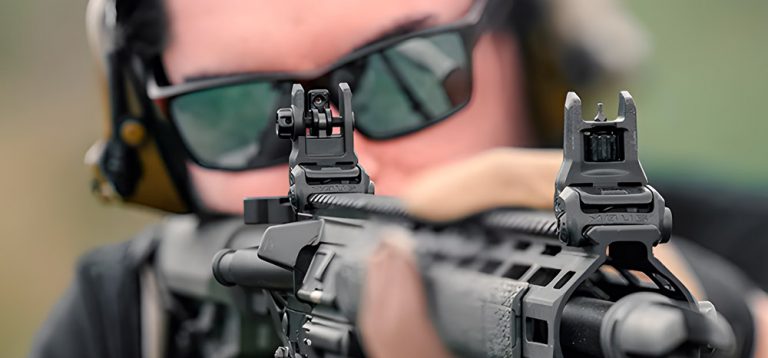 Best Iron Sights 2024 | TOP 26 🎯 Backup Iron Sights