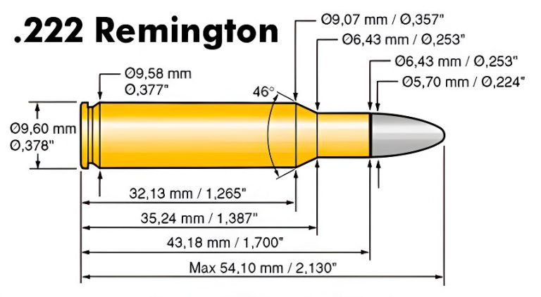 Best 222 Remington Ammo 2024 | TOP 10 🎯 Remington 222 Ammo